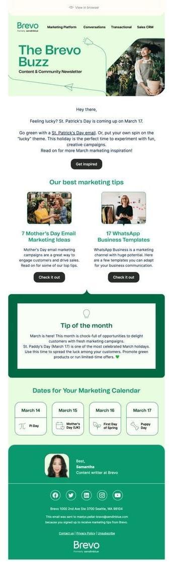 Mengenal Contoh Newsletter serta Langkah Membuatnya